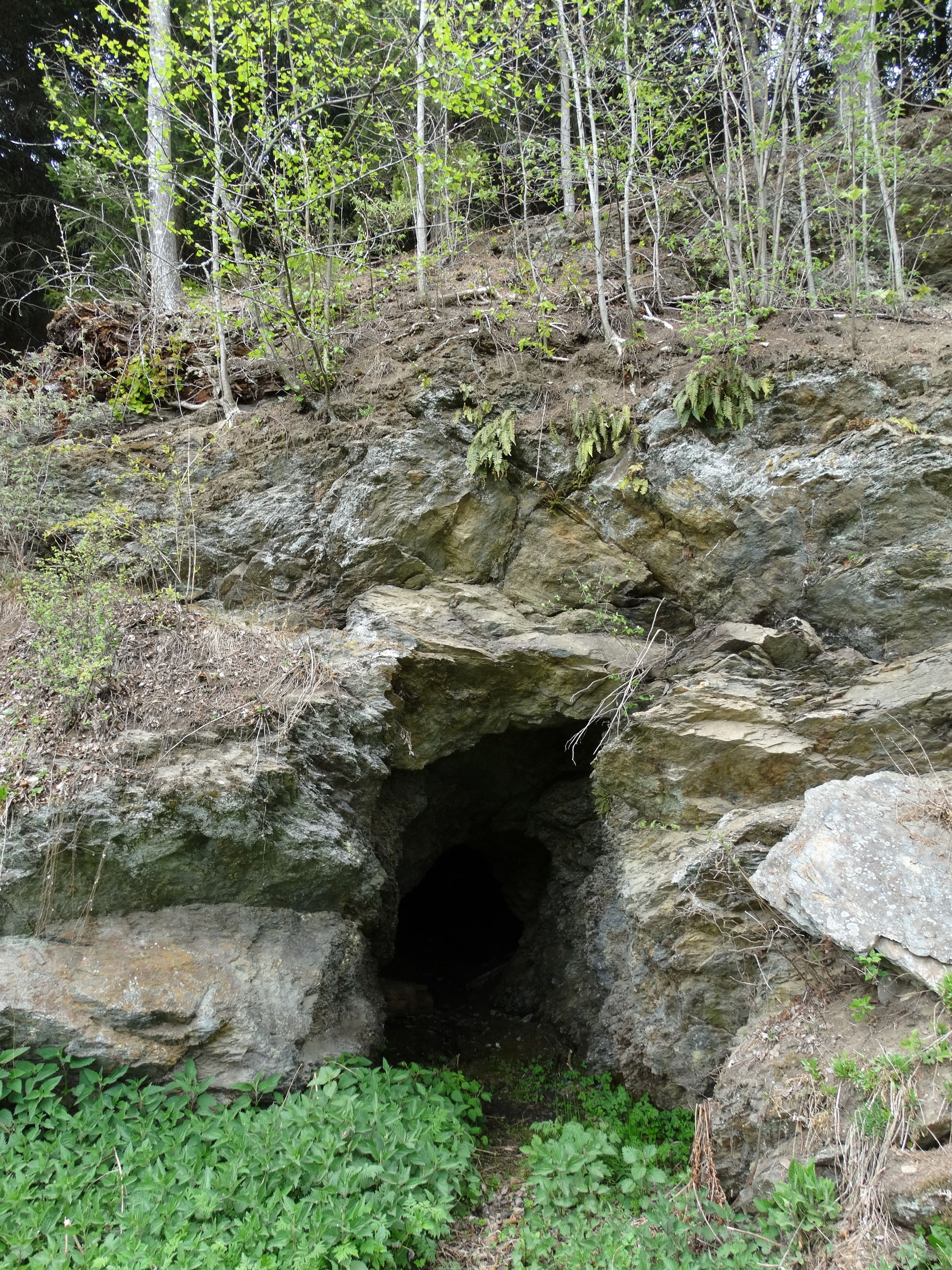 A cave