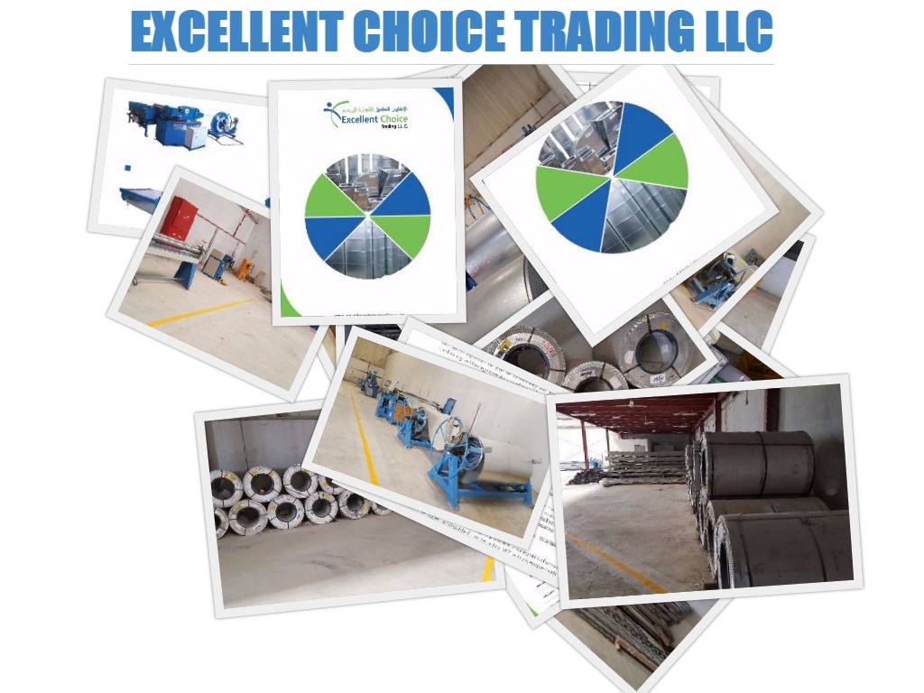 EXCELLENT CHOICE TRADING LLC - Wilayat Baushar