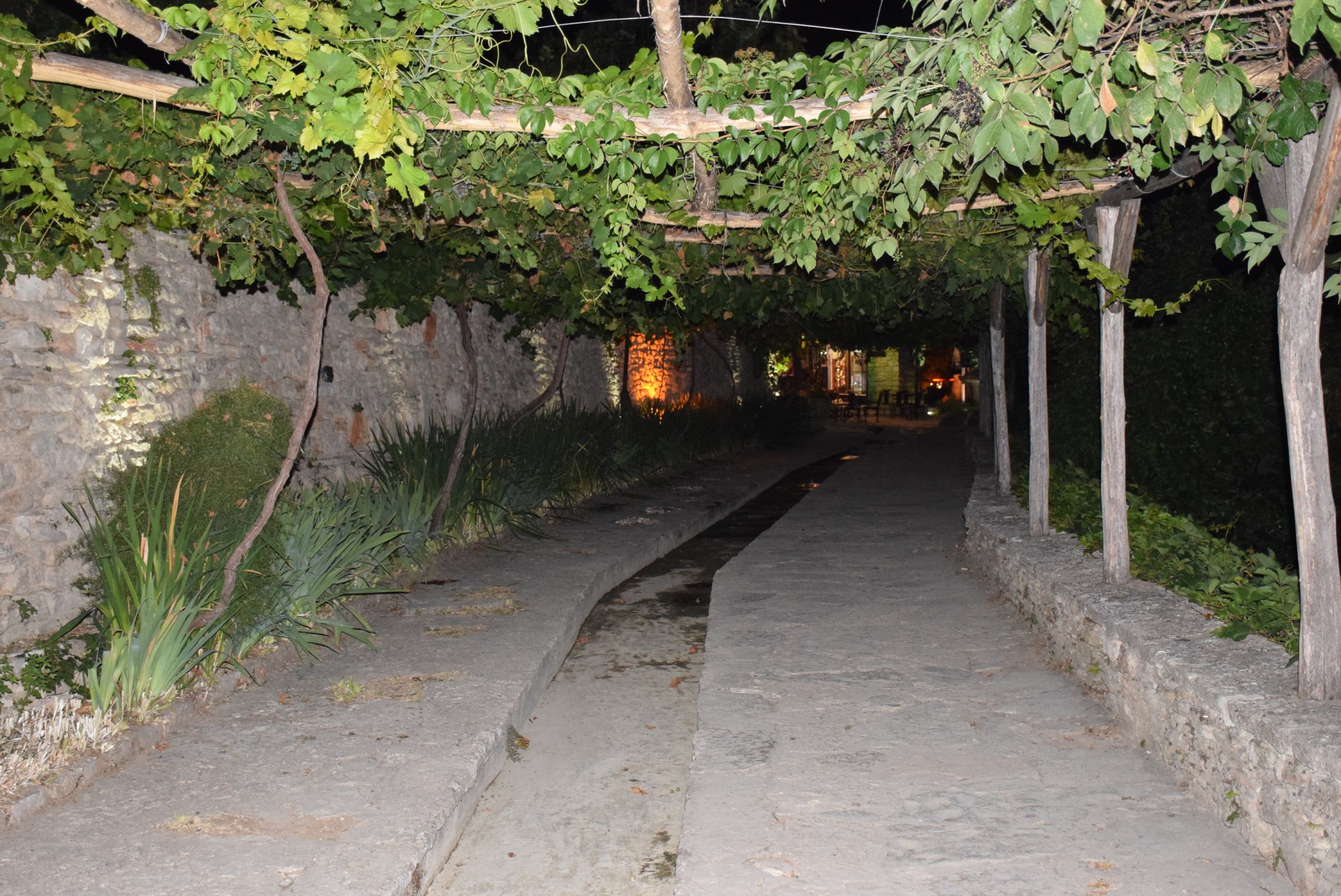 Grape Alley - Balchik