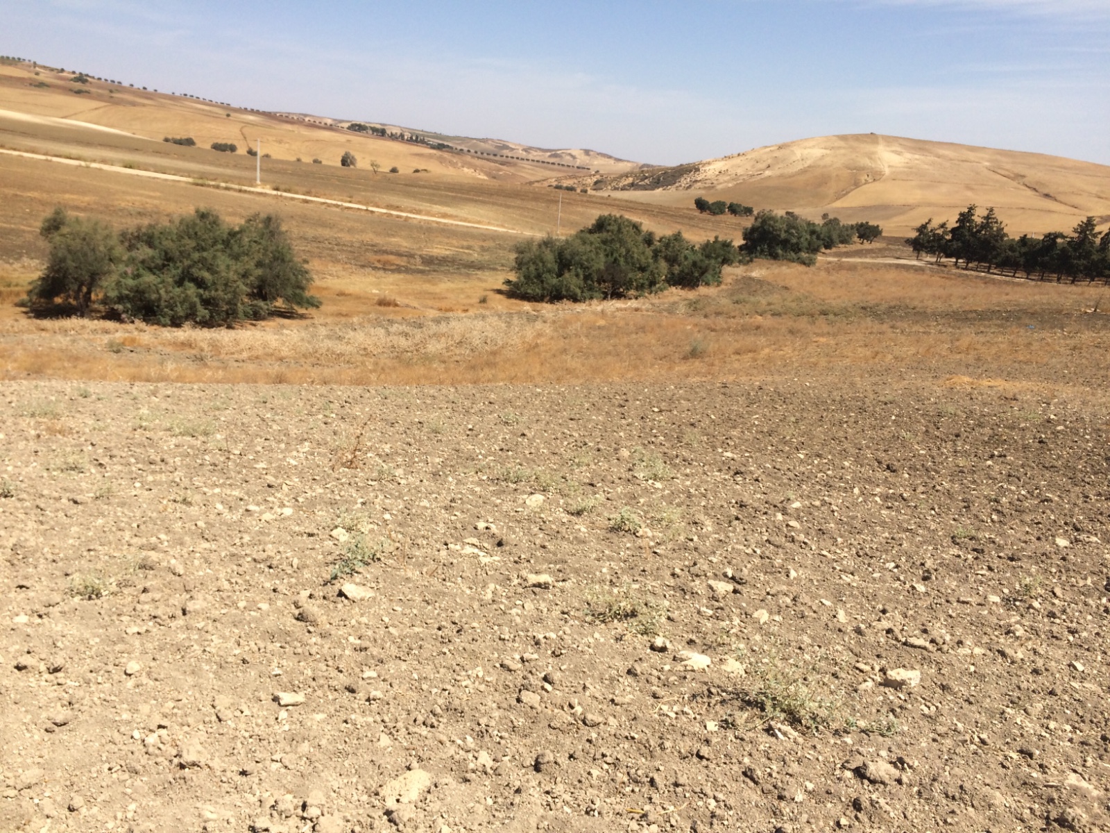 ارض بن خالد