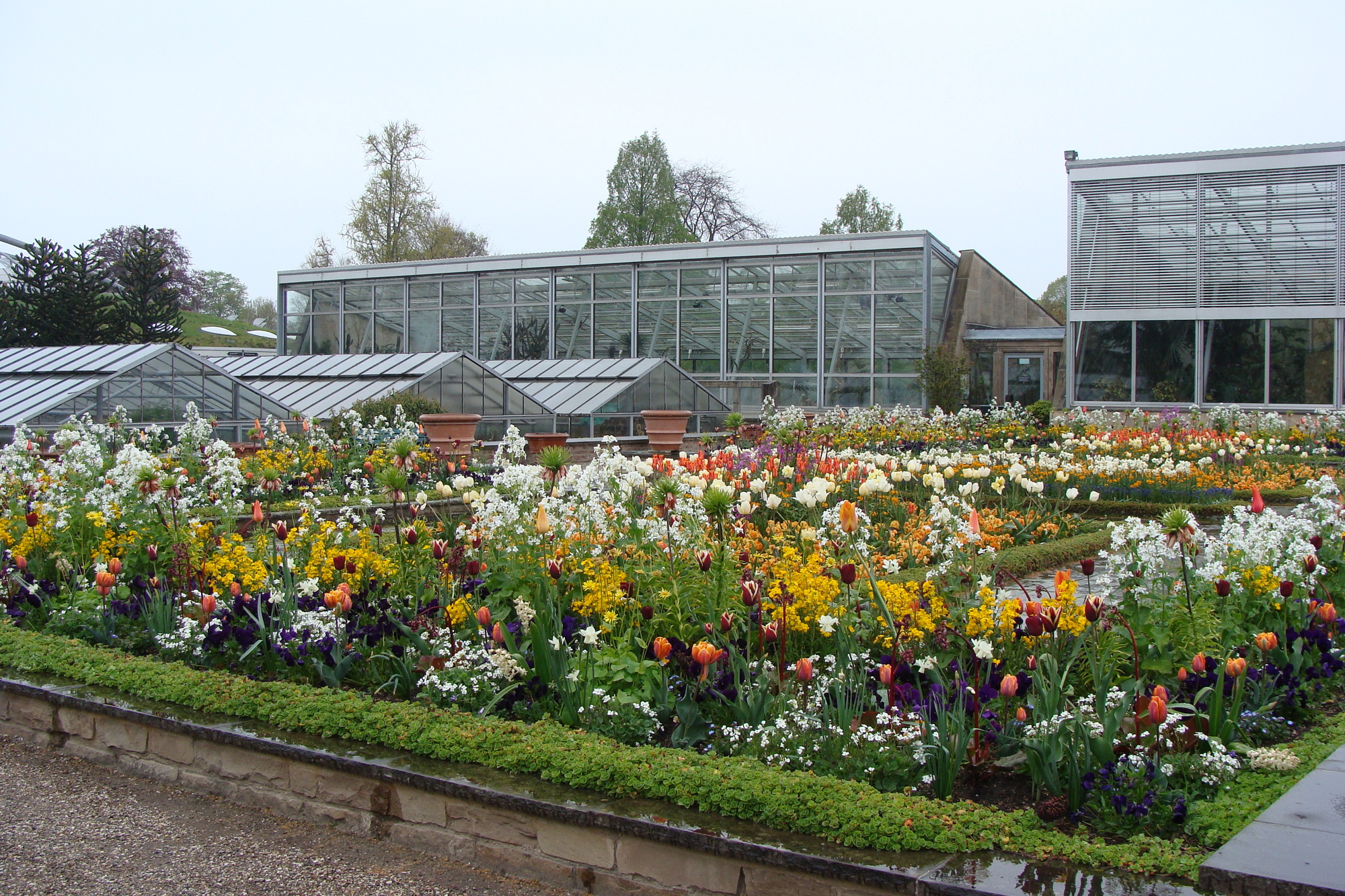 Ornamental Courtyard - Hanover