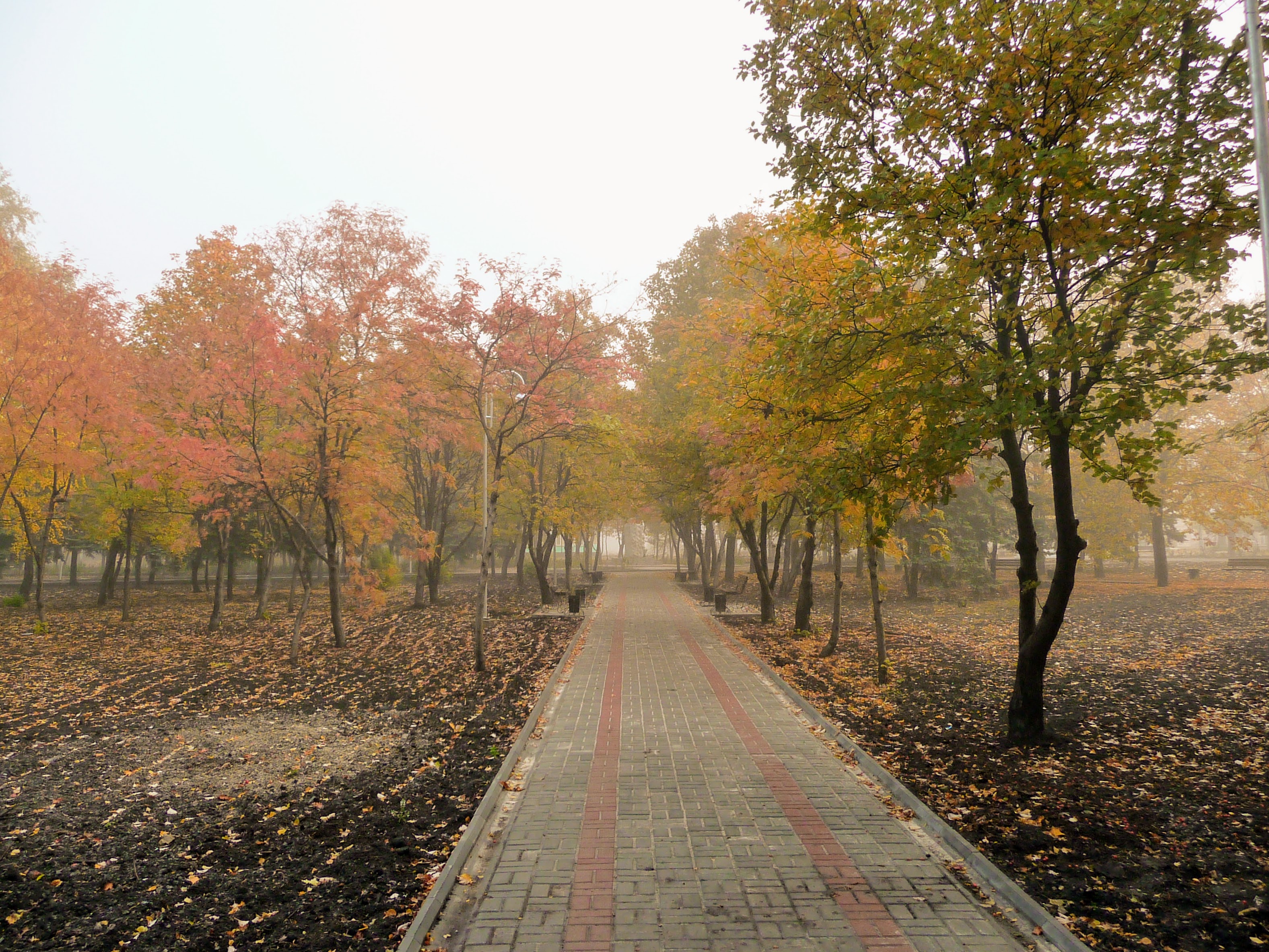 Park - Novohrodivka