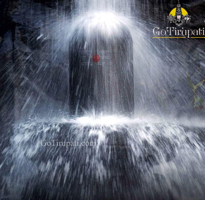 Palimaru Sri Mahalingeshwara Temple - Palimar