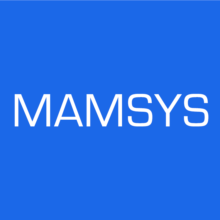 Mamsys - Noida