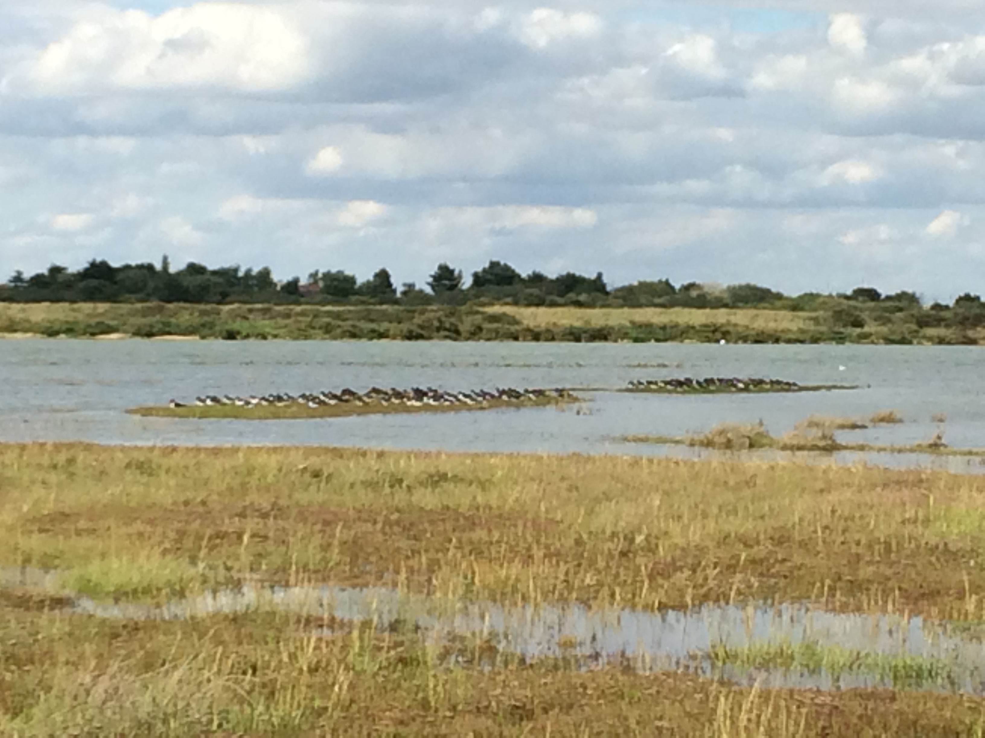 Paguester Protected Islands Nature Conservation Area