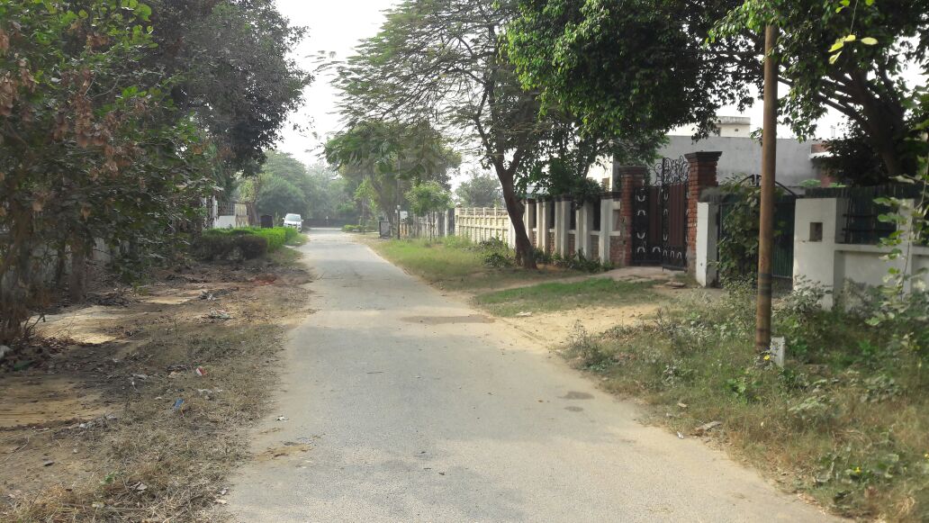 Delta 3 Greater Noida at Steve Bushnell blog