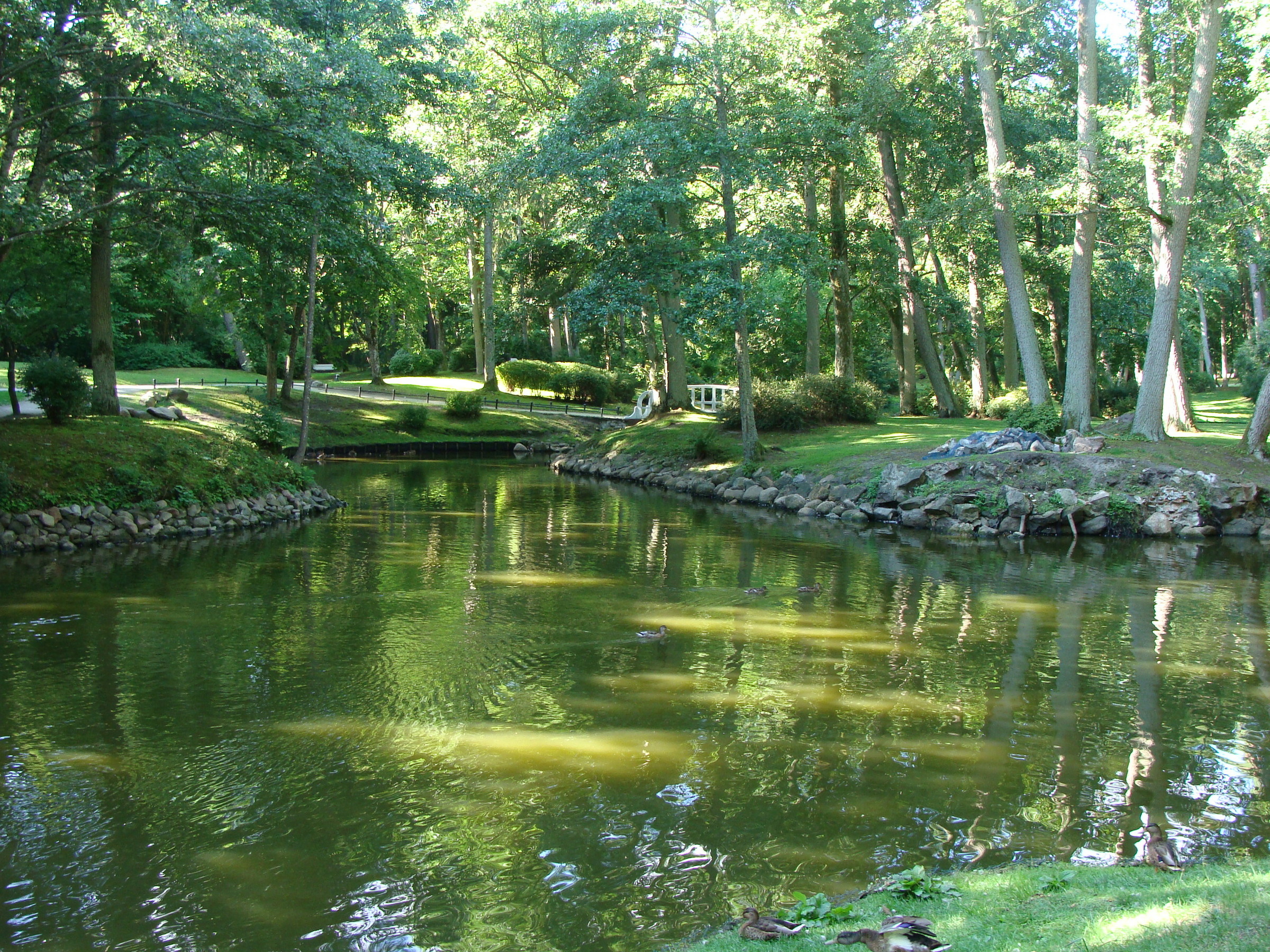 The old pond - Palanga