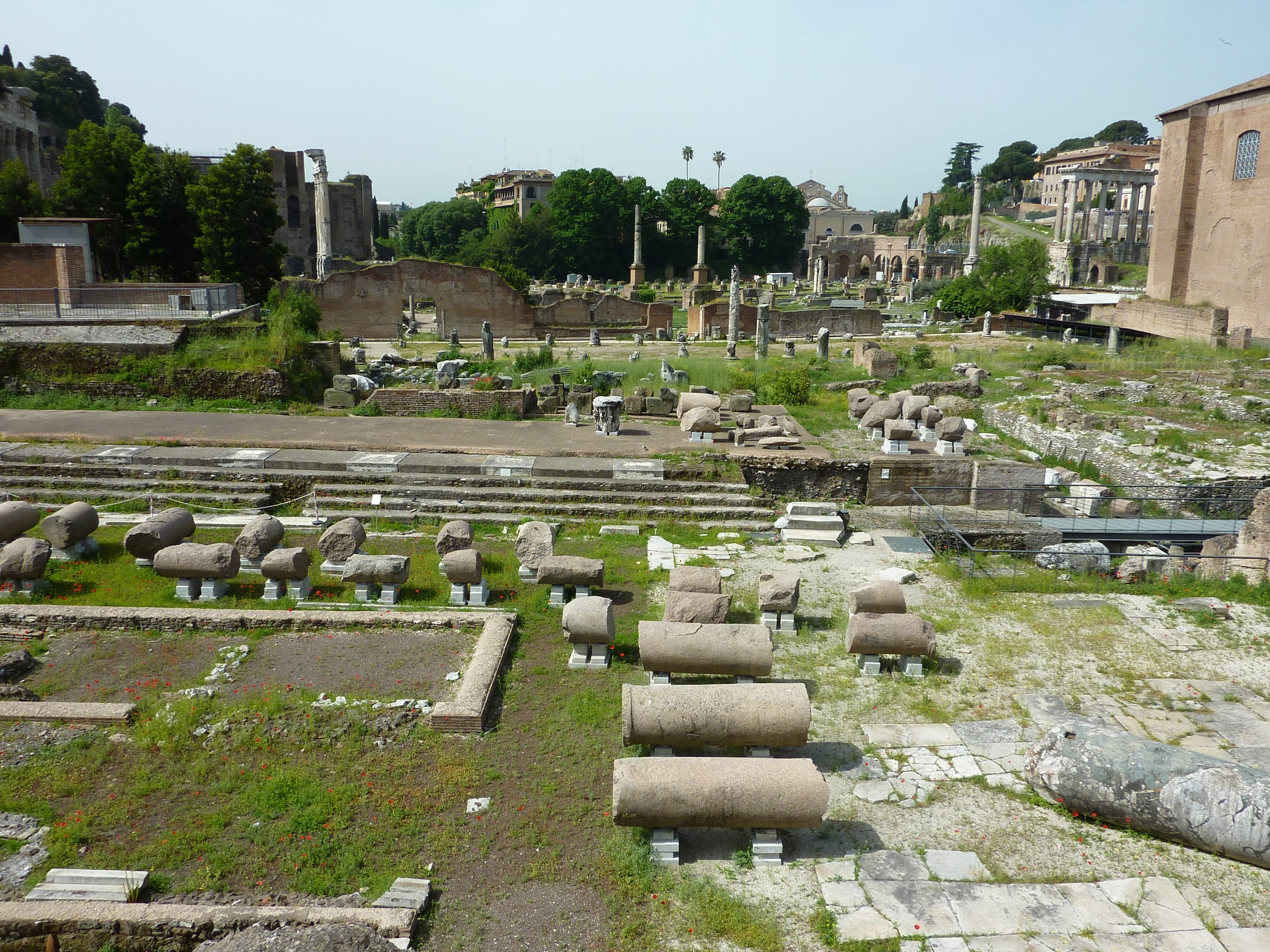 The Forum of Peace / the Temple of Peace. - Rome
