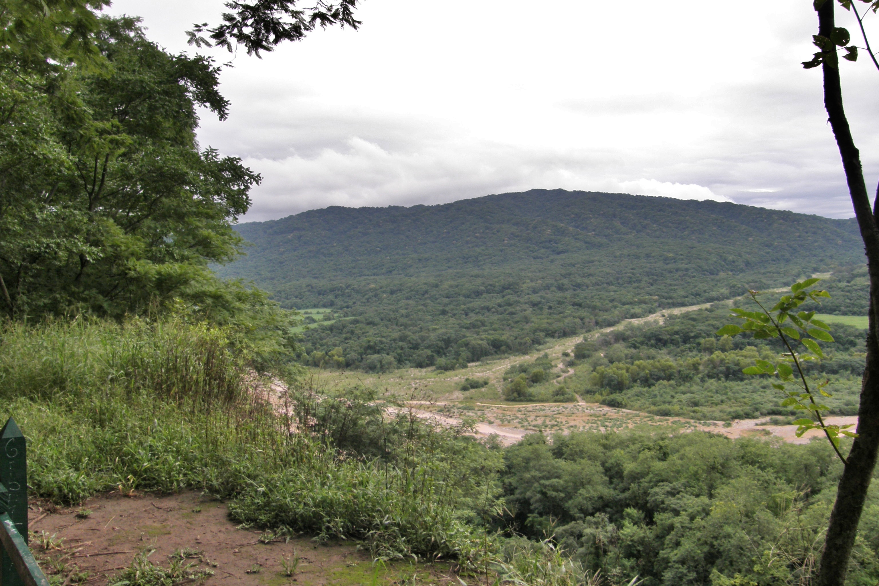 Mirador Parque Nacional Calilegua
