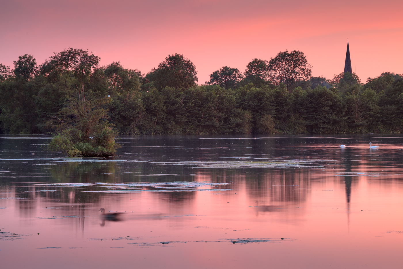 Attenborough Nature Reserve
