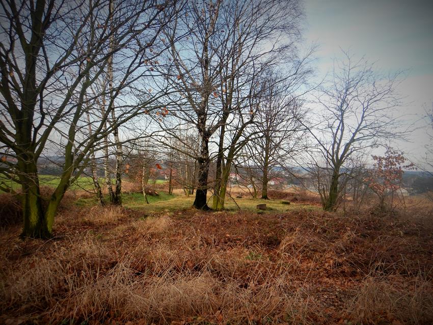 Cmentarz żydowski - Sośnicowice | cmentarz żydowski, kirkut