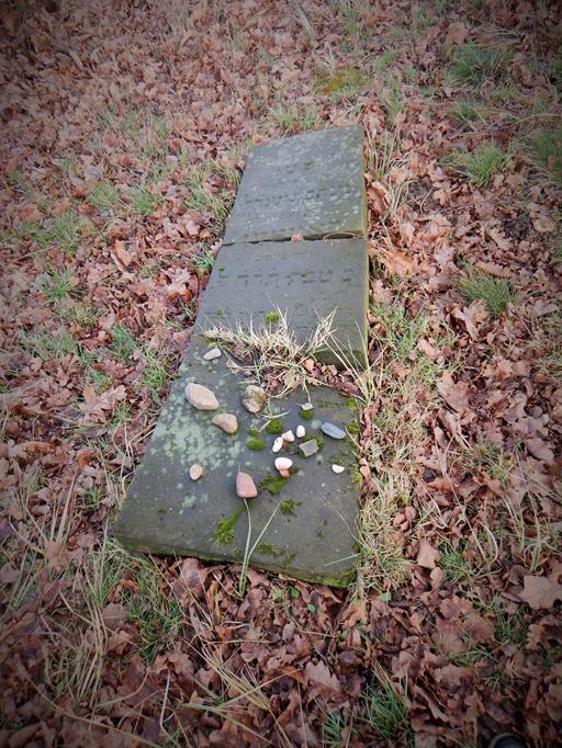 Cmentarz żydowski - Sośnicowice | cmentarz żydowski, kirkut