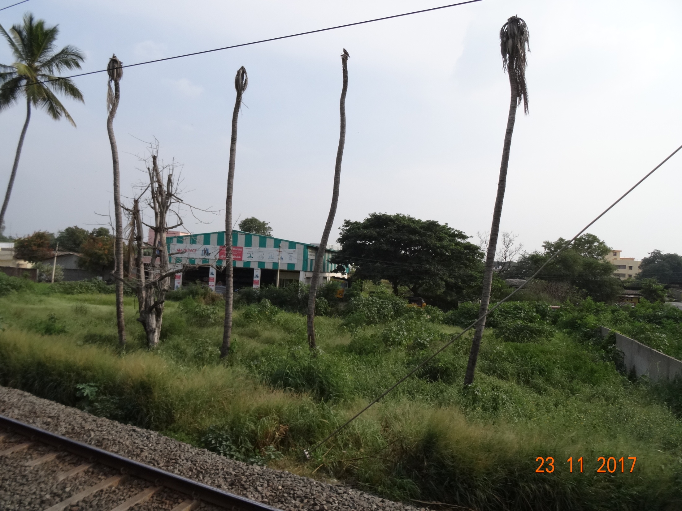 Shri Lakshmi Traders - Coimbatore