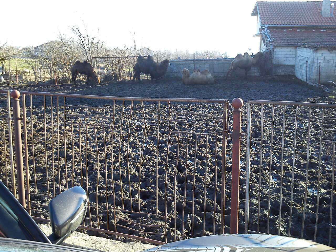 Етнографски комплекс „Калимански хан“ - Калиманци