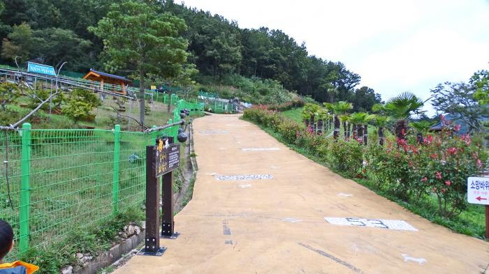 Jindo Dog Theme Park Hill 53