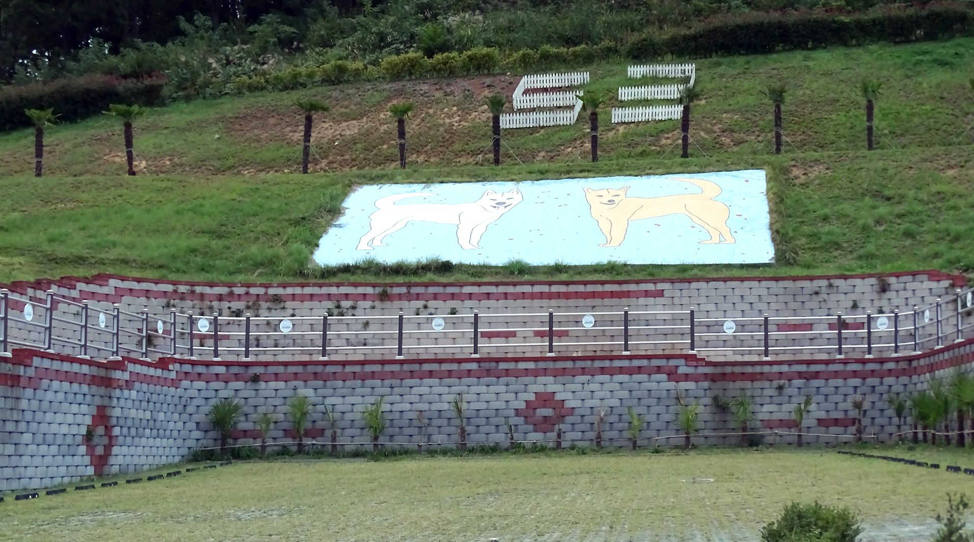 Jindo Dog Theme Park Hill 53