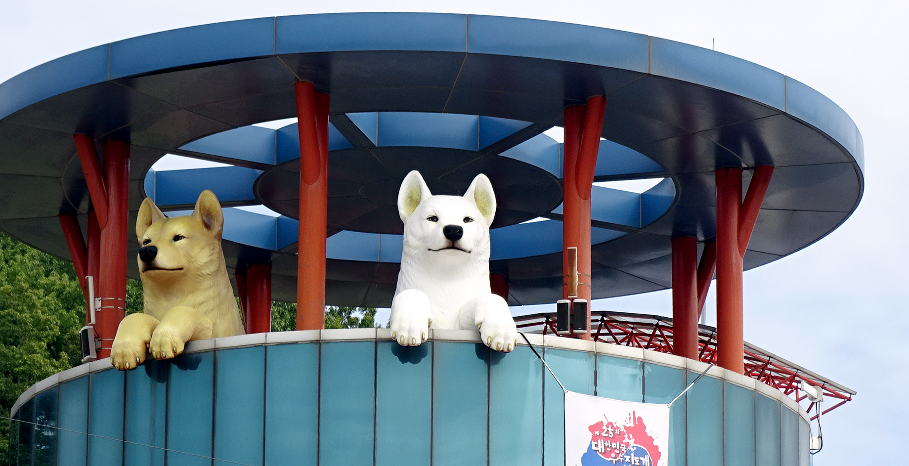 Jindo Dog Theme Park