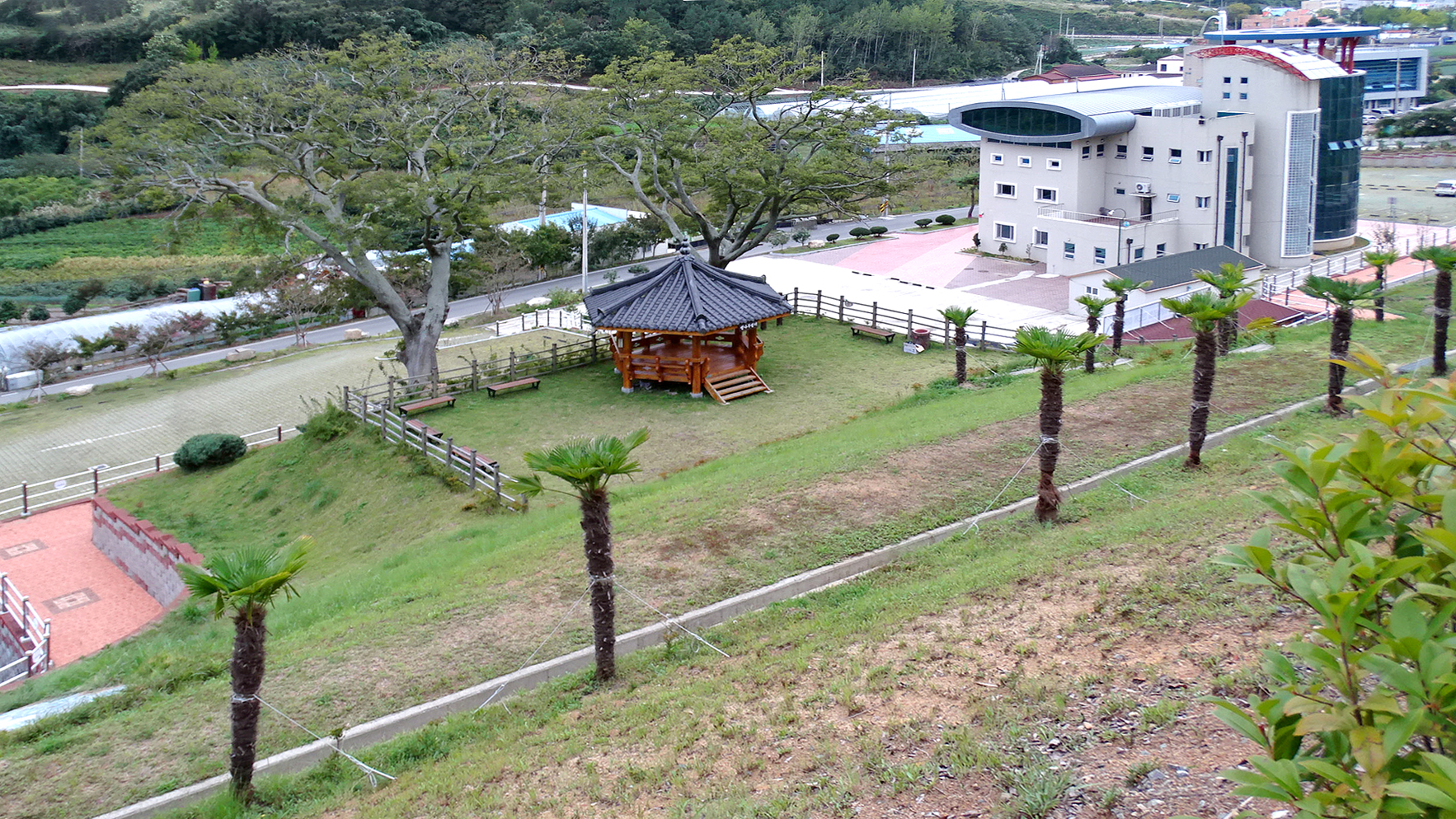 Jindo Dog Theme Park