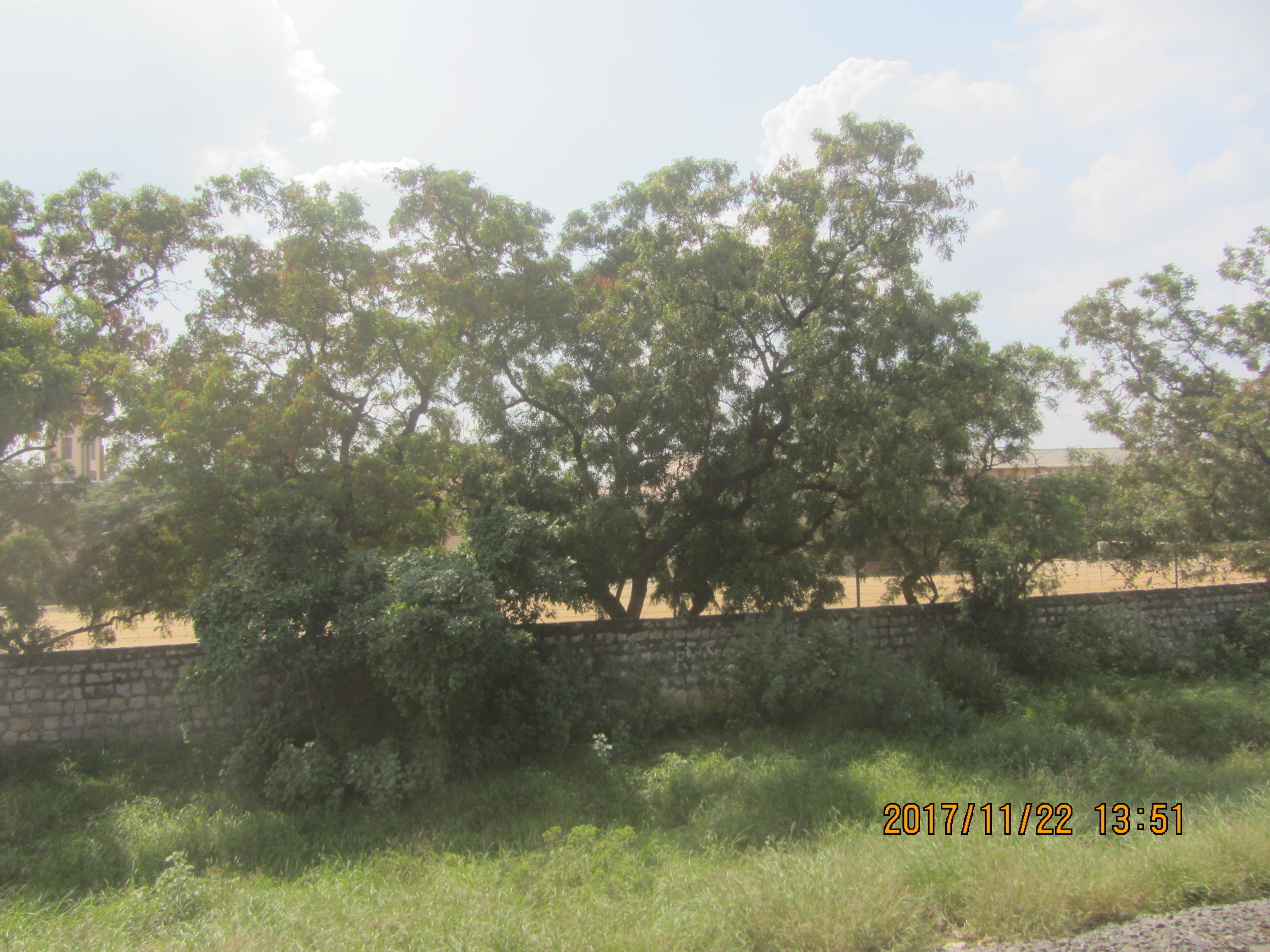 Kikani School Play Ground - Coimbatore