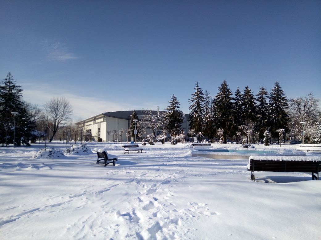 Brasov Olympic Skating Rink - Braşov | sports venue, ice rink, sports club