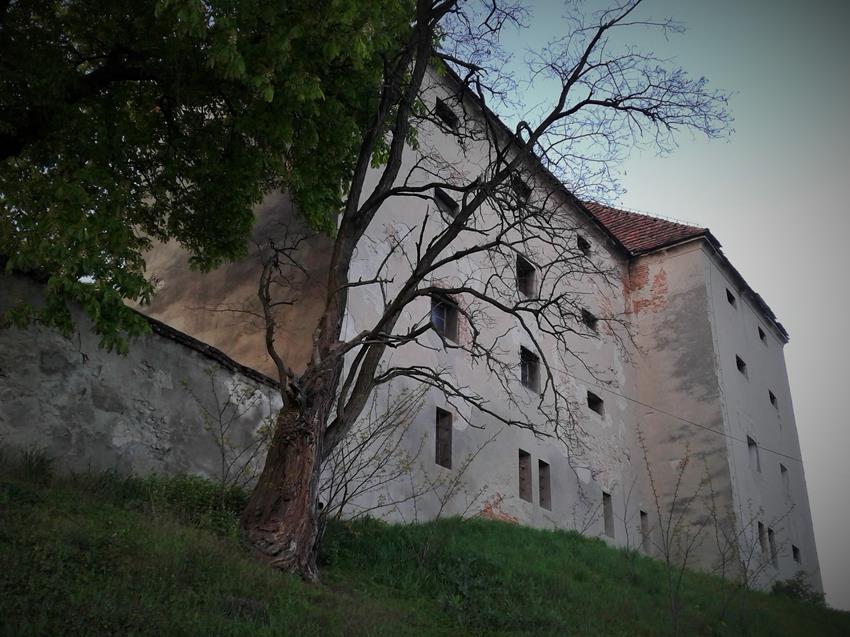 Dawny zamek - Zimnice Małe