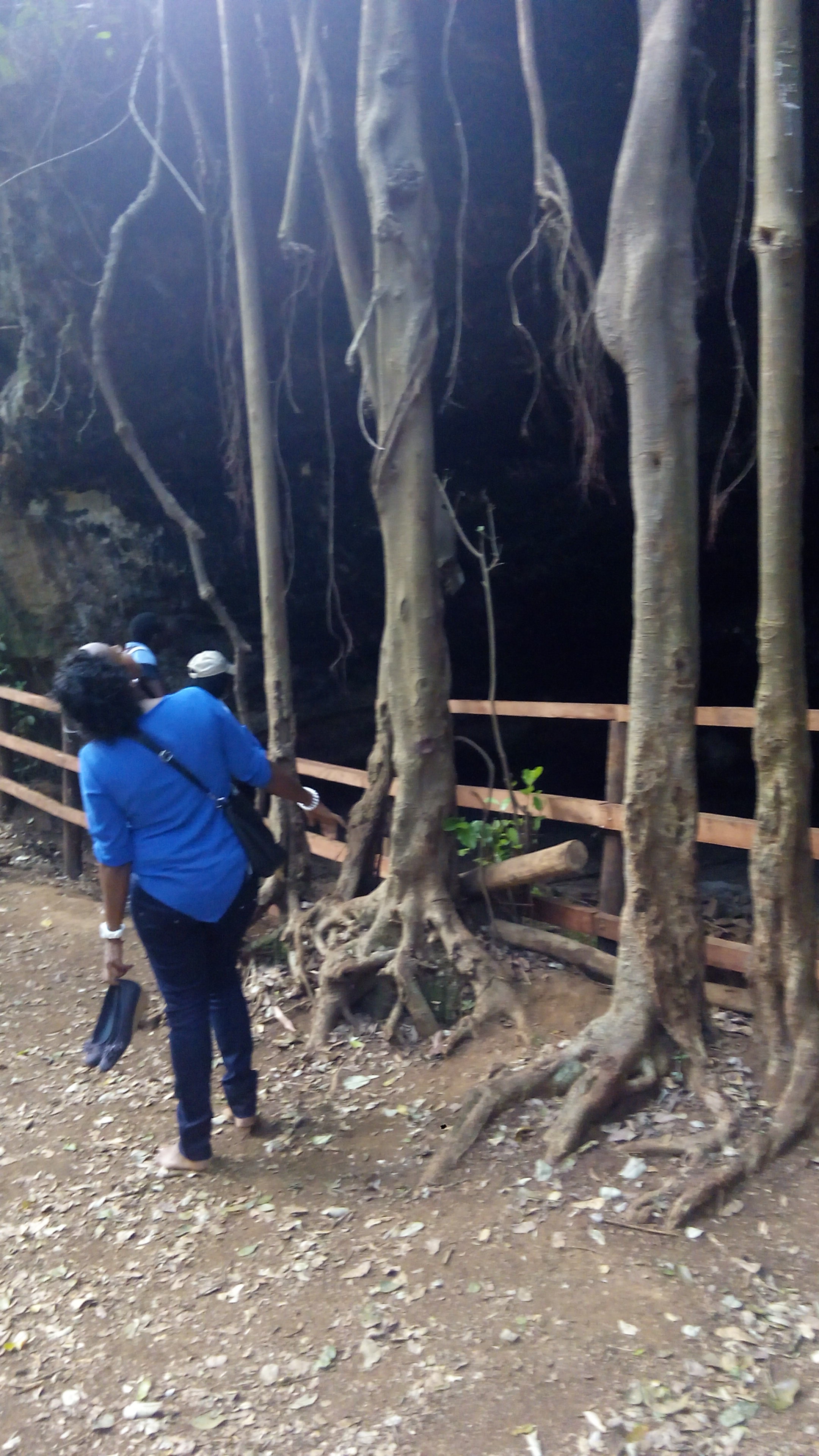 Karura Forest - Nairobi