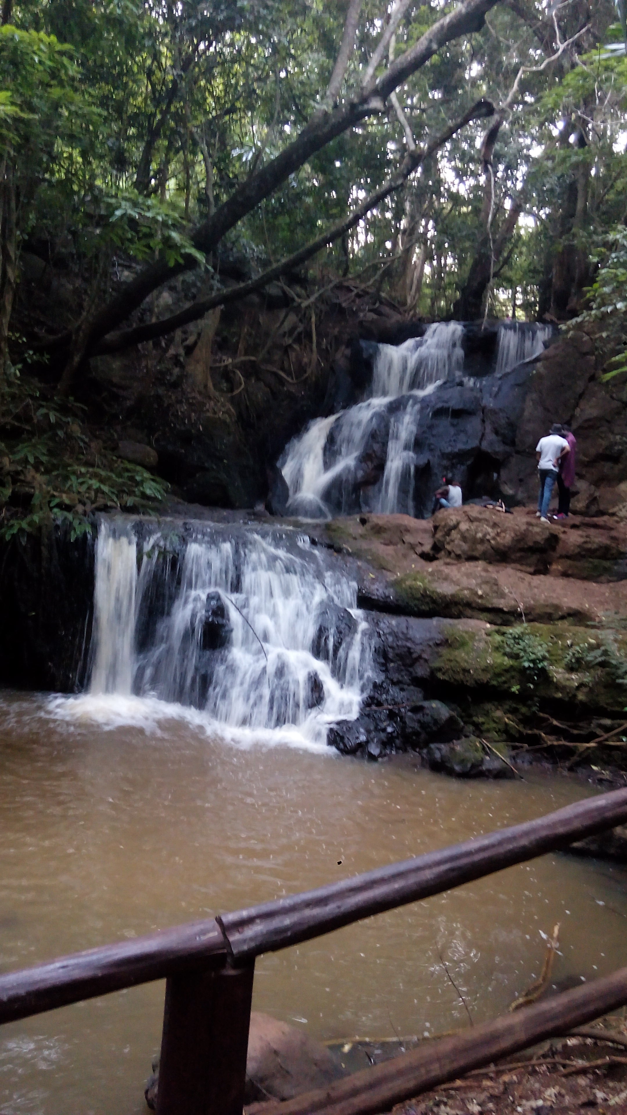 Karura Forest - Nairobi