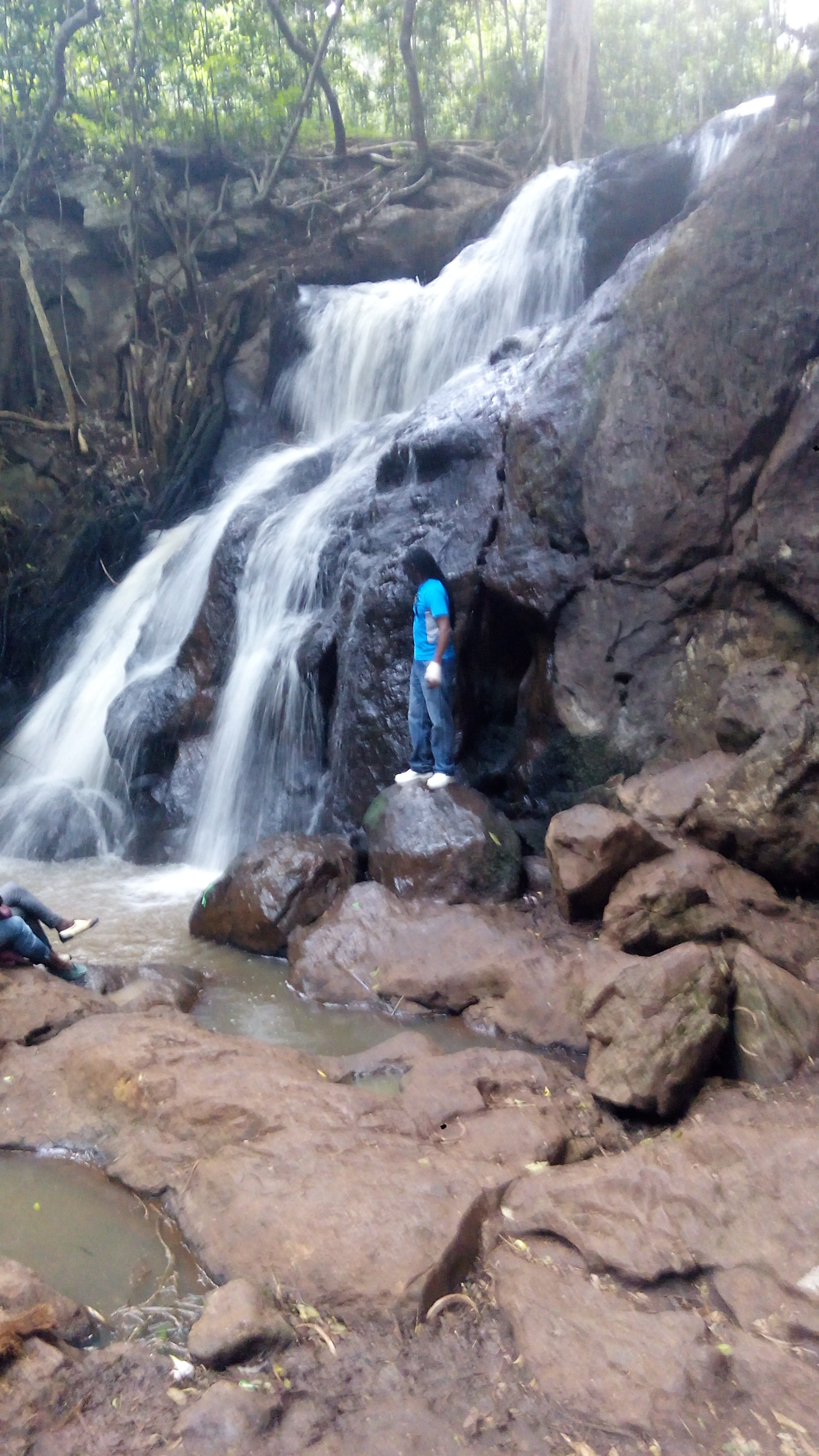 Karura Forest - Nairobi