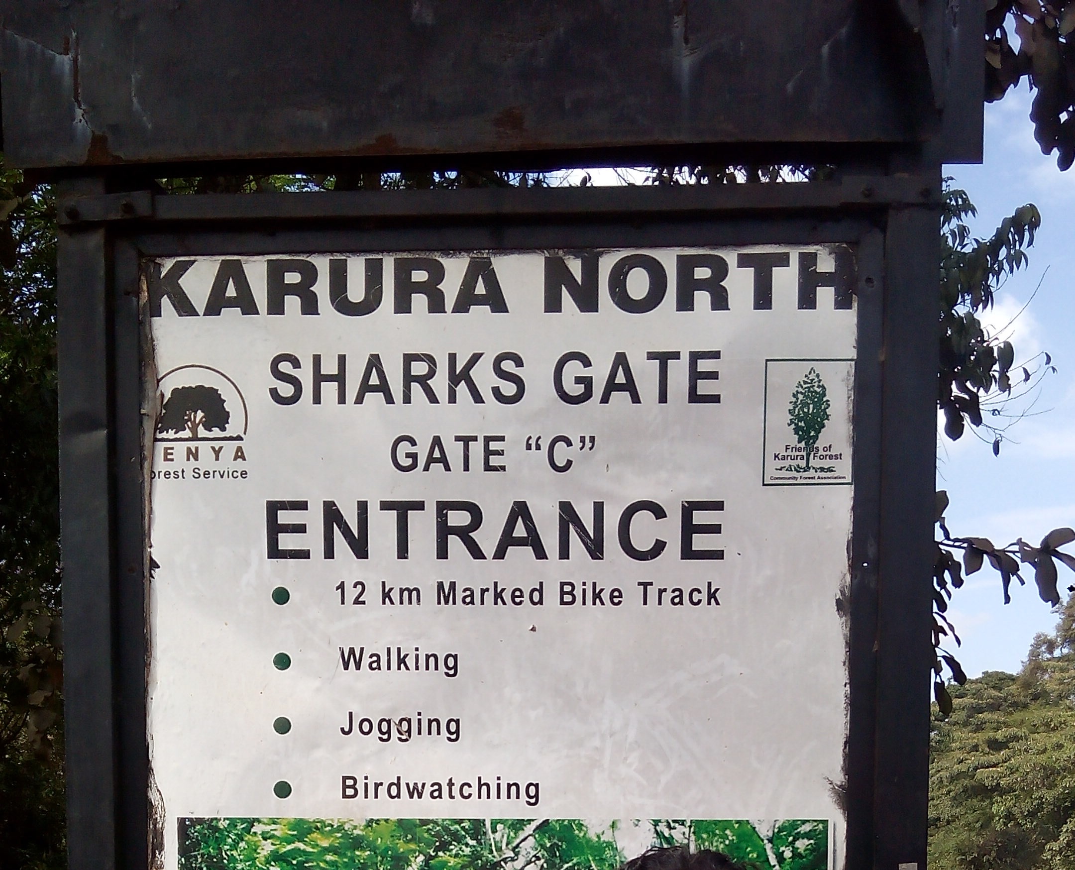 Karura Forest - Nairobi