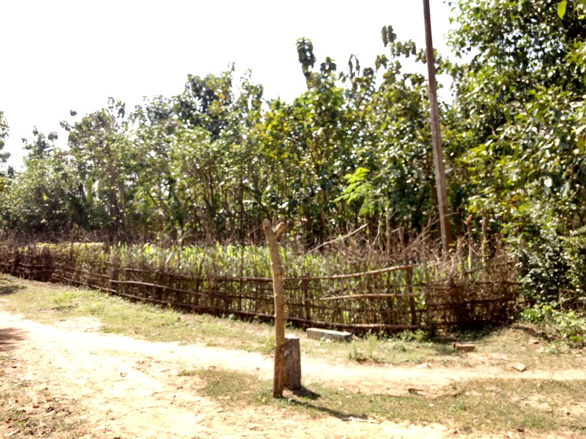 SRK Farm- Omampuliyur - 9445611936 - omampuliyur