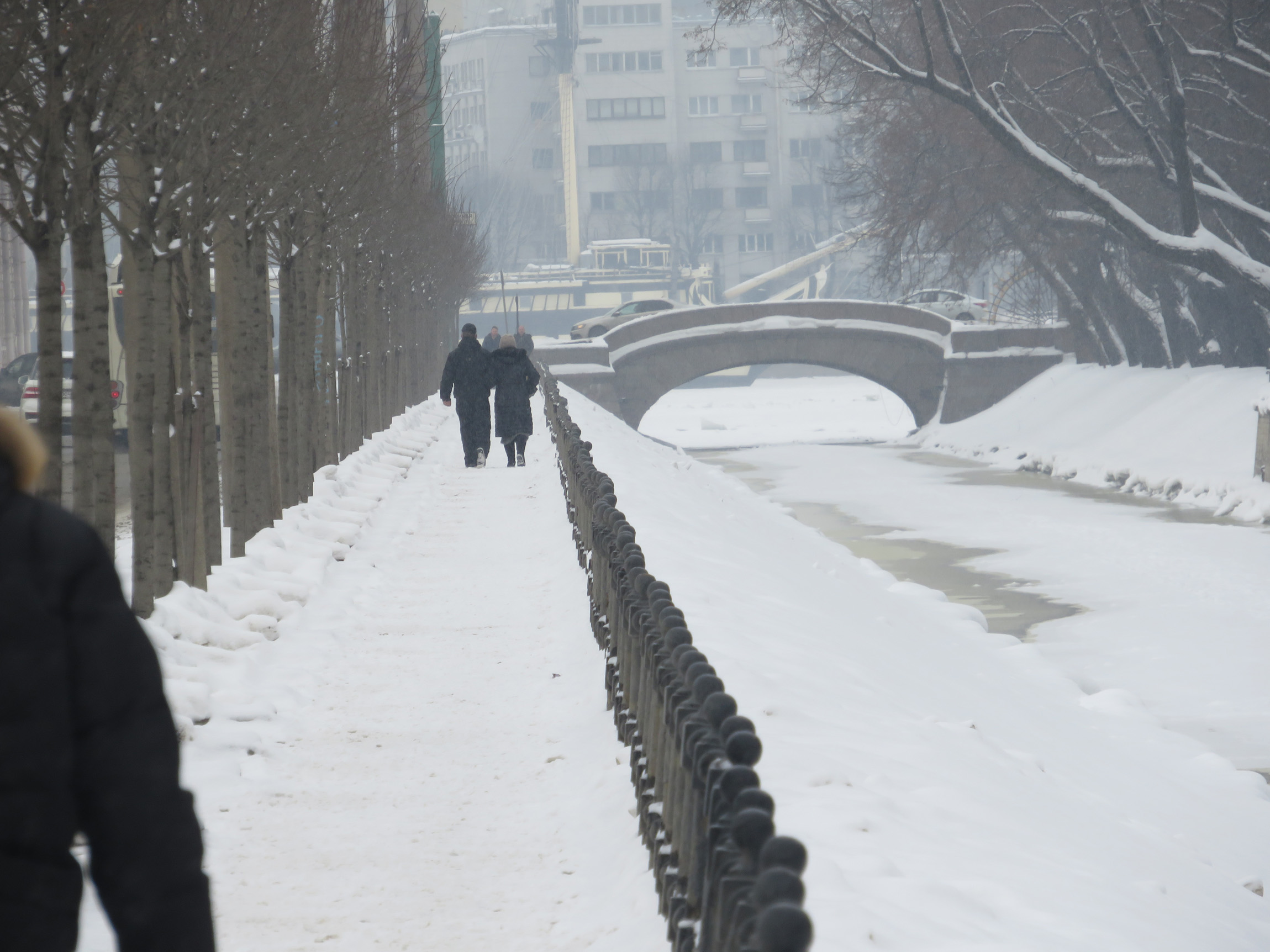 Upper Swan Bridge - Saint Petersburg