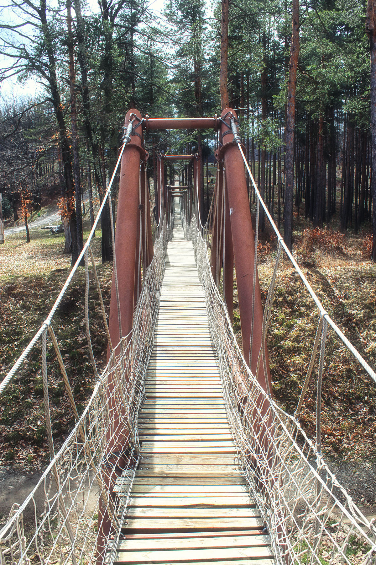 Pedestrian Rope Bridge