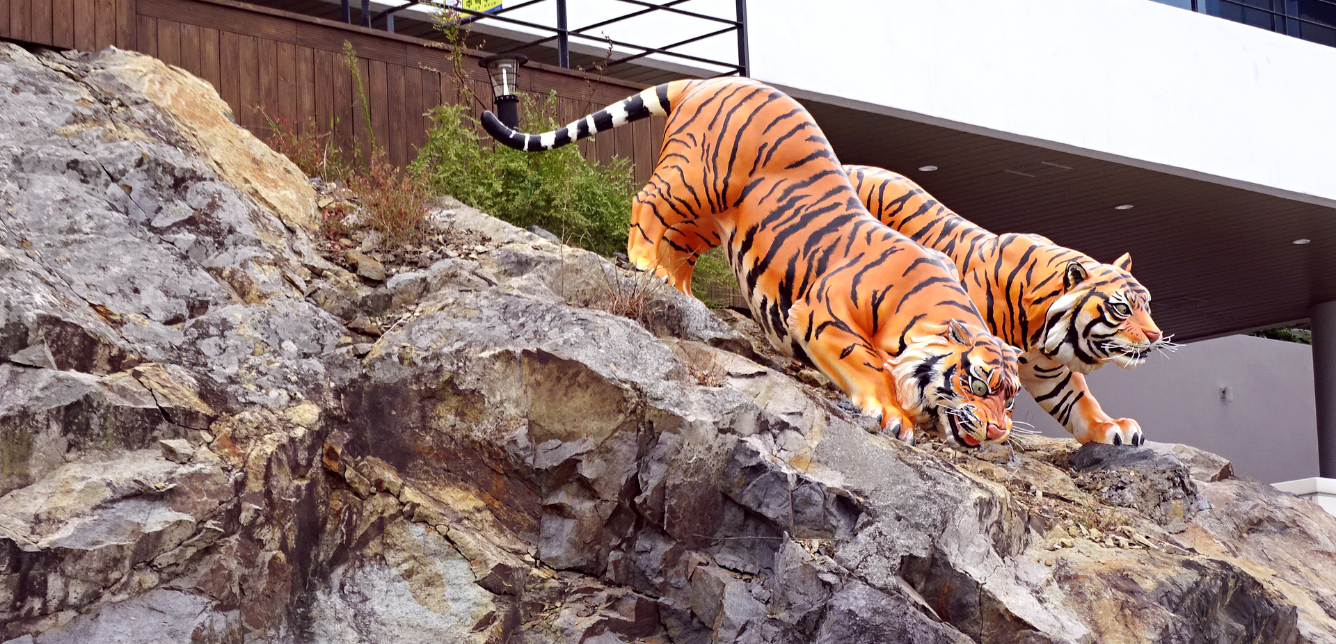 Mysterious Sea Road Experience Hall