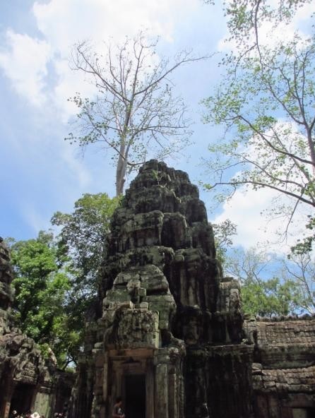 Ta Prohm temple