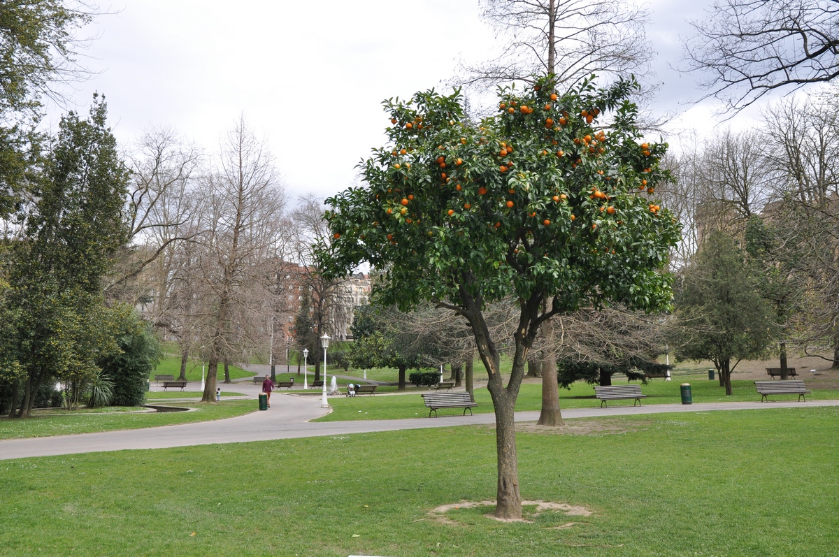 Doña Casilda Iturrizar Park - Bilbao / Bilbo