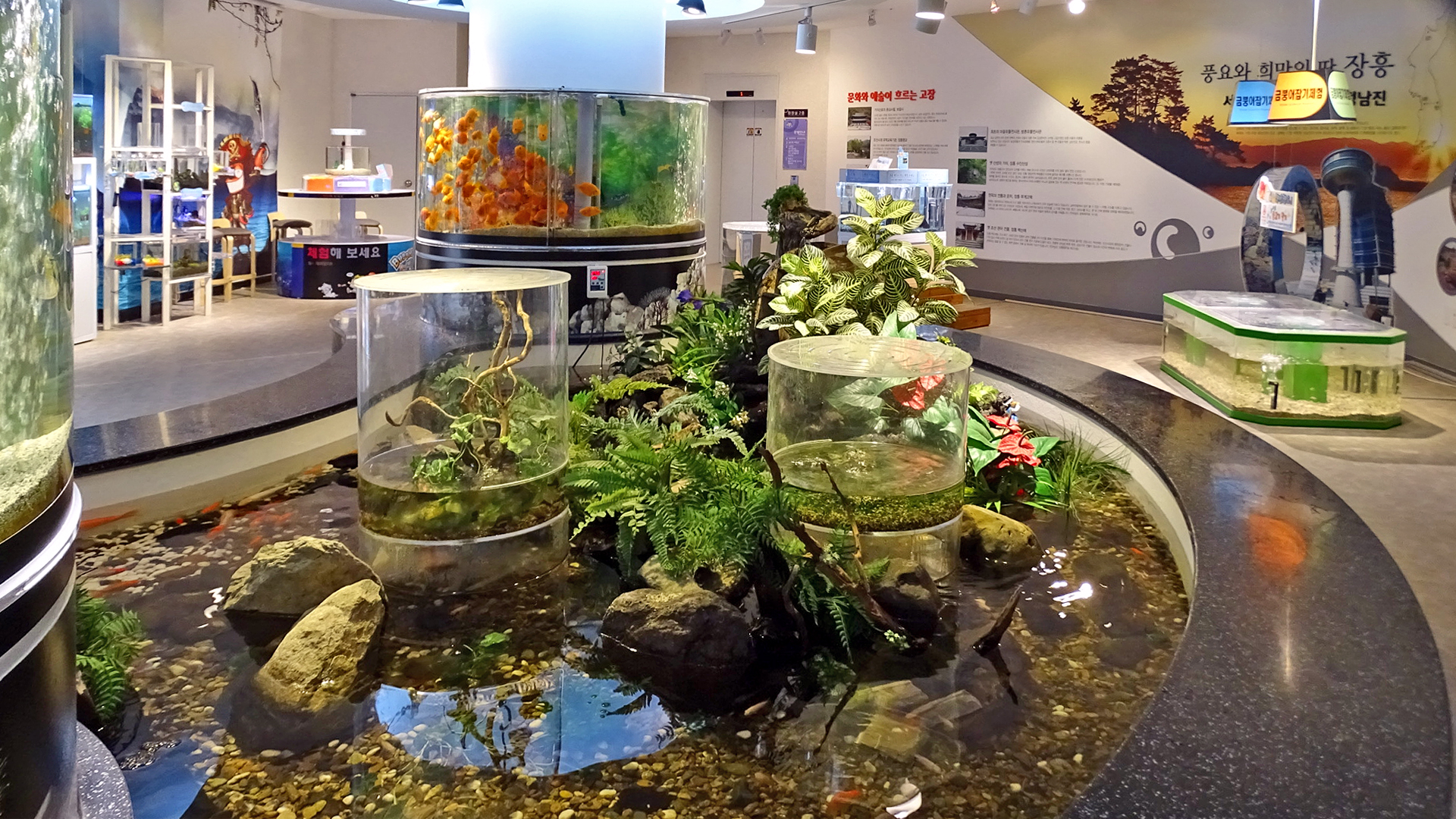 Jeongnamjin Water Science Museum - Jangheung-eup