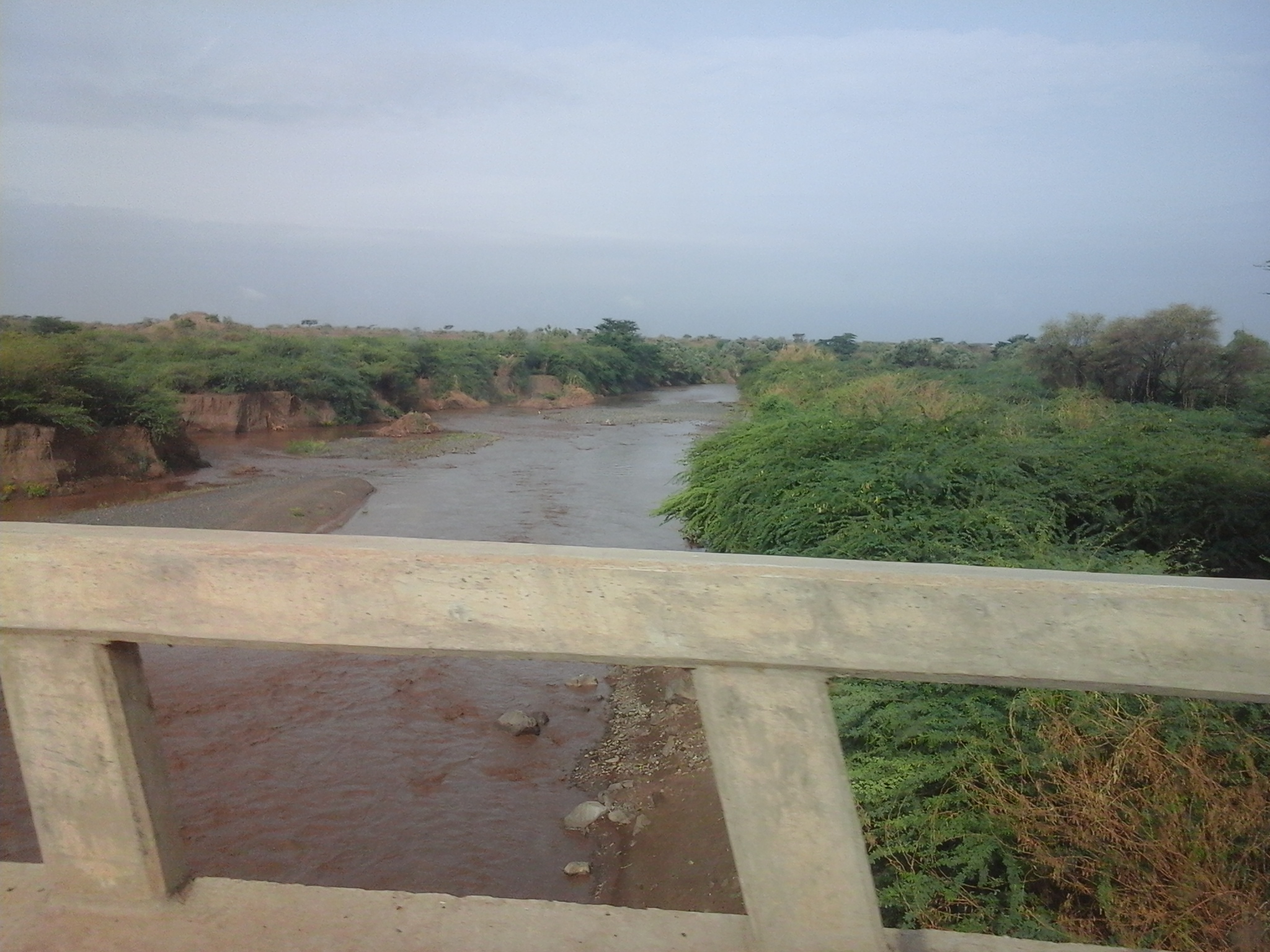 bridge