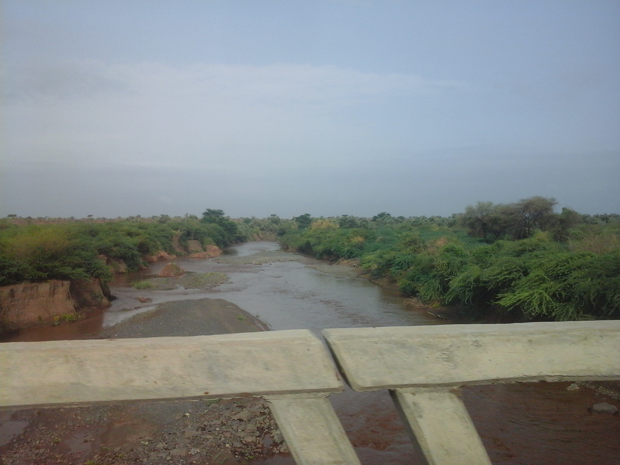bridge