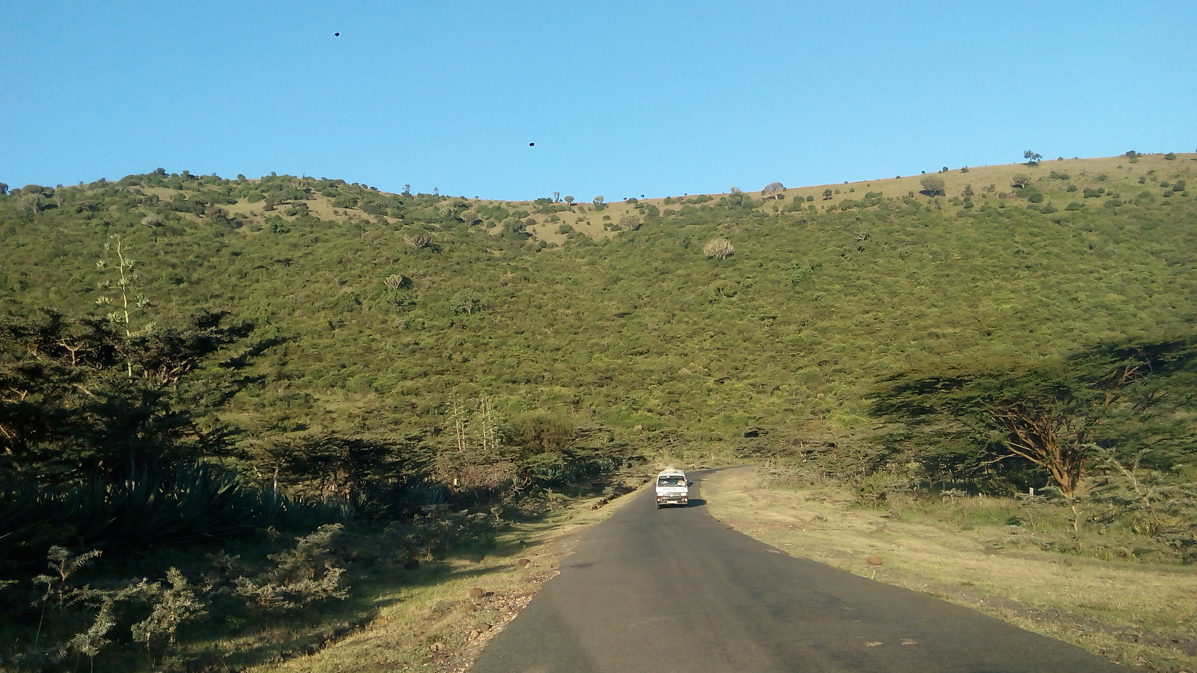 Ngong Hills