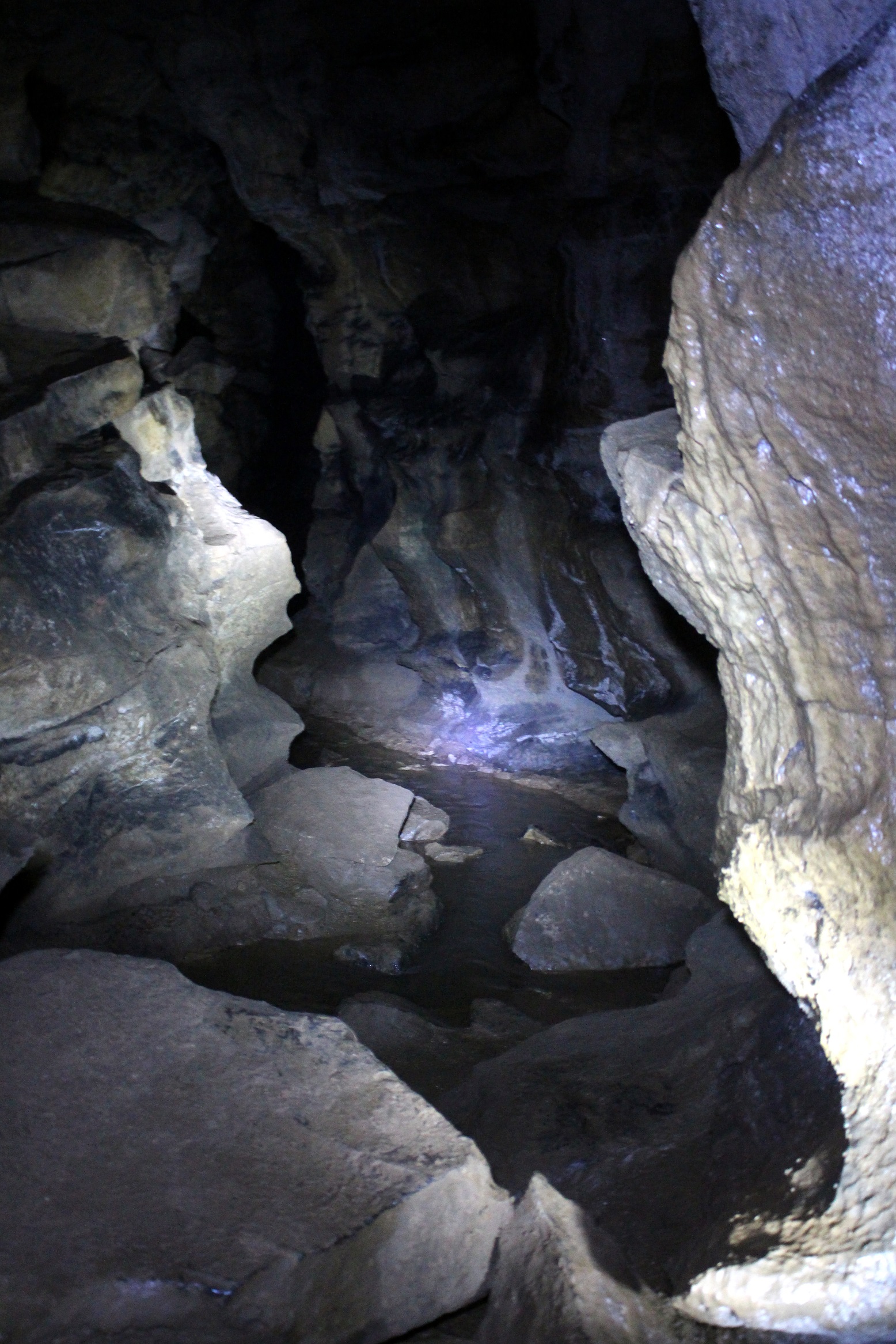 Пашийская пещера