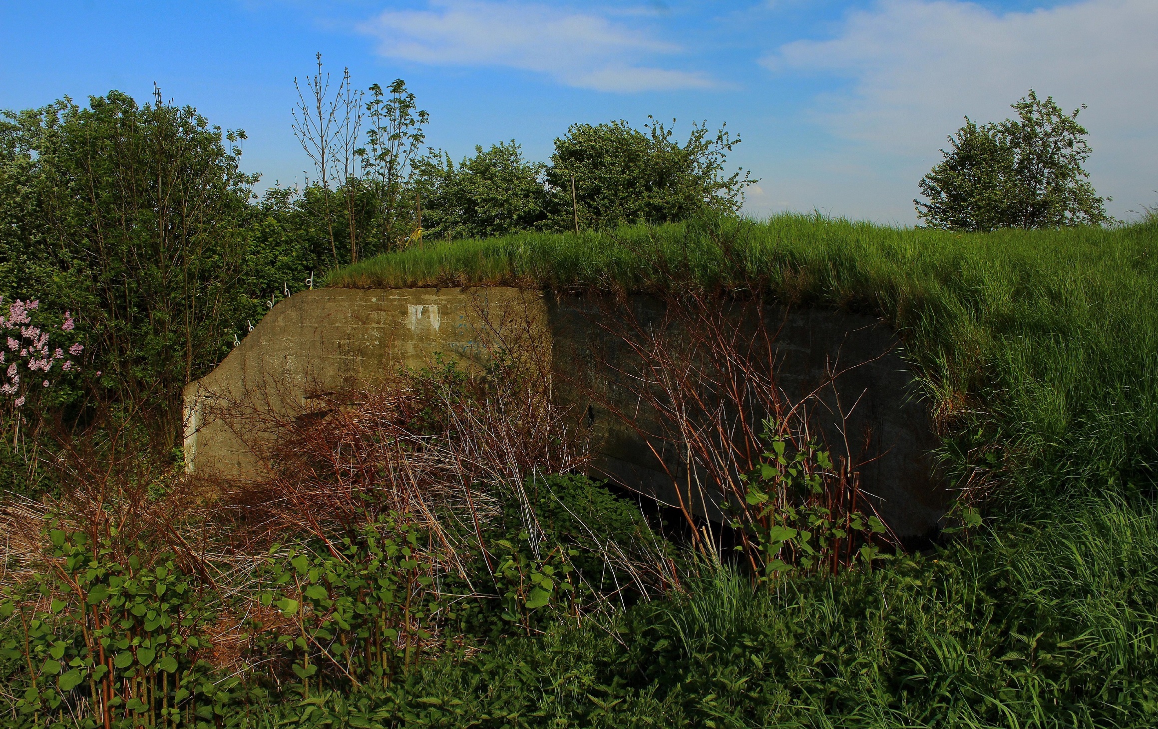 Bunkier "Sonderwerk" - Gliwice