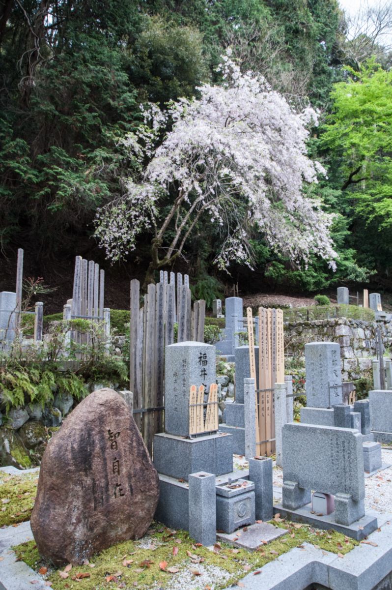 Honen-in temple - Kyoto