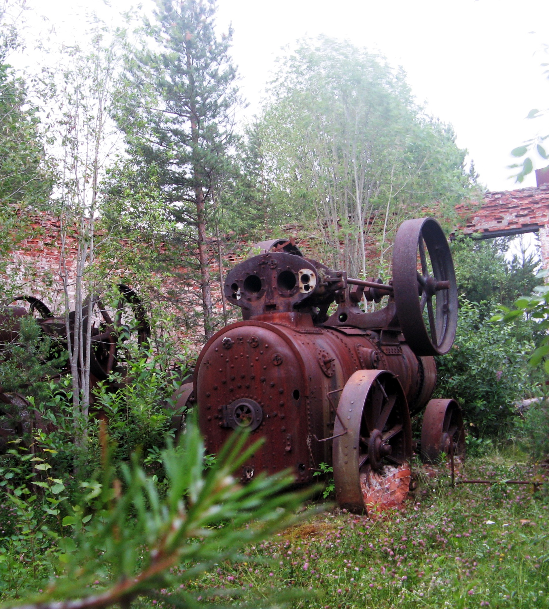 Steam sawmill - a historic industrial site