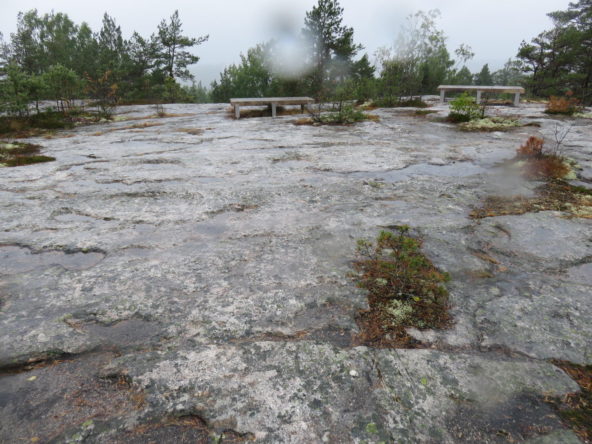Rock Carvings in Tanum
