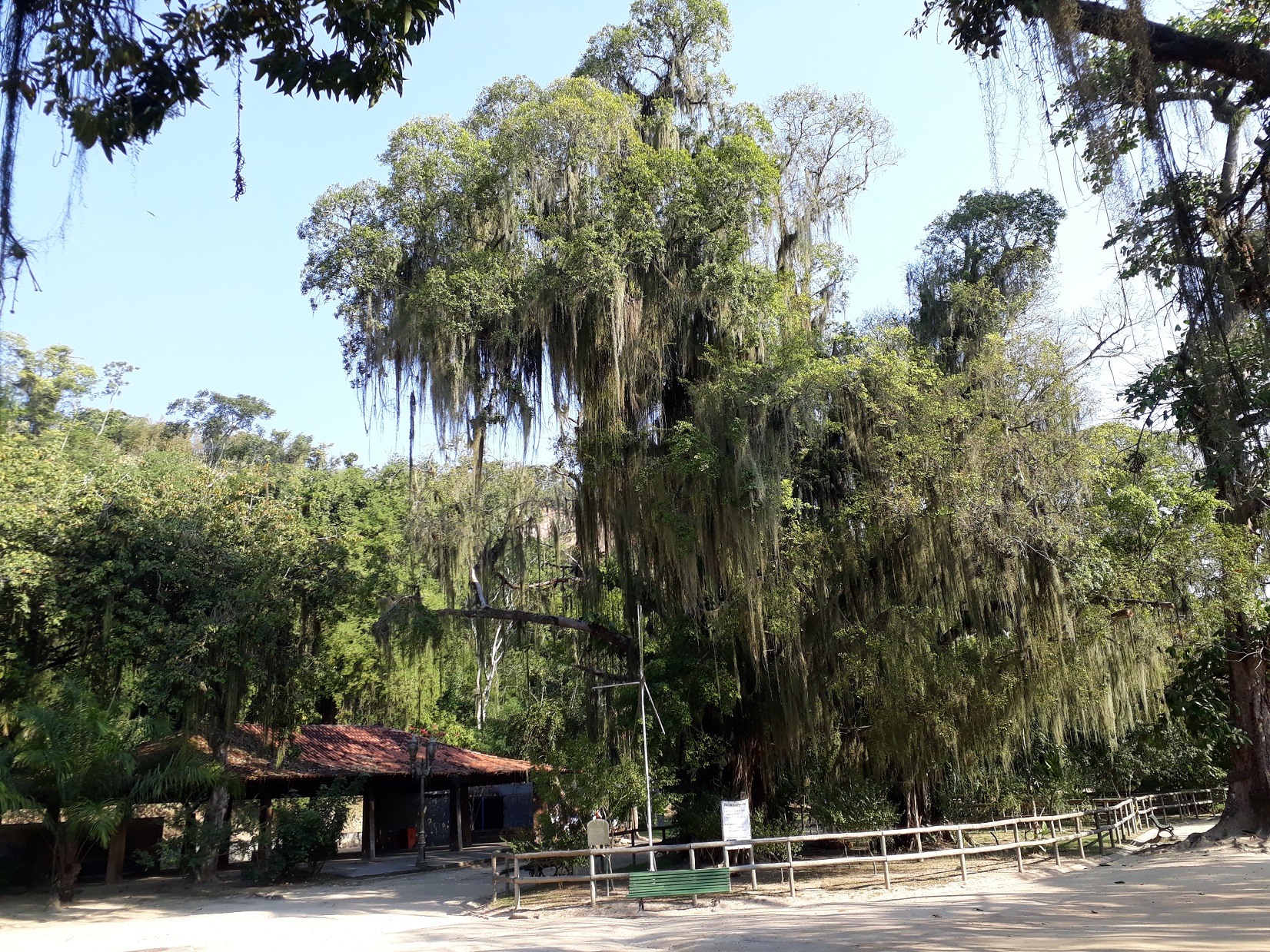 Parque Darke De Mattos - ZULEDU
