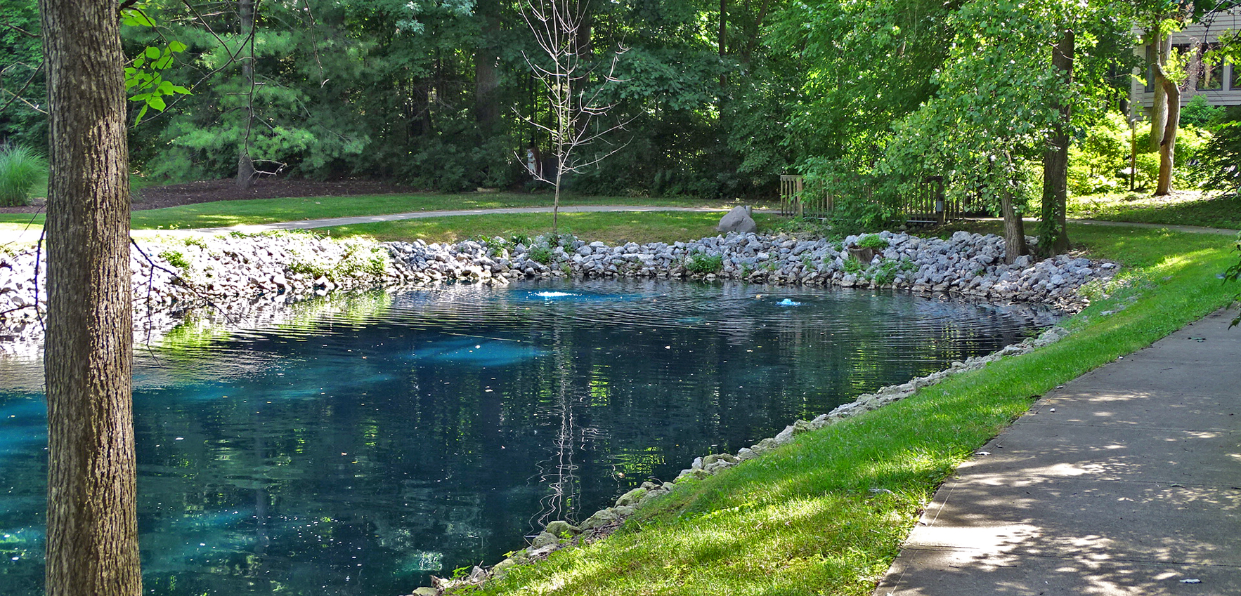 Cook Lougheed Wildlife Pond - Fort Wayne, Indiana