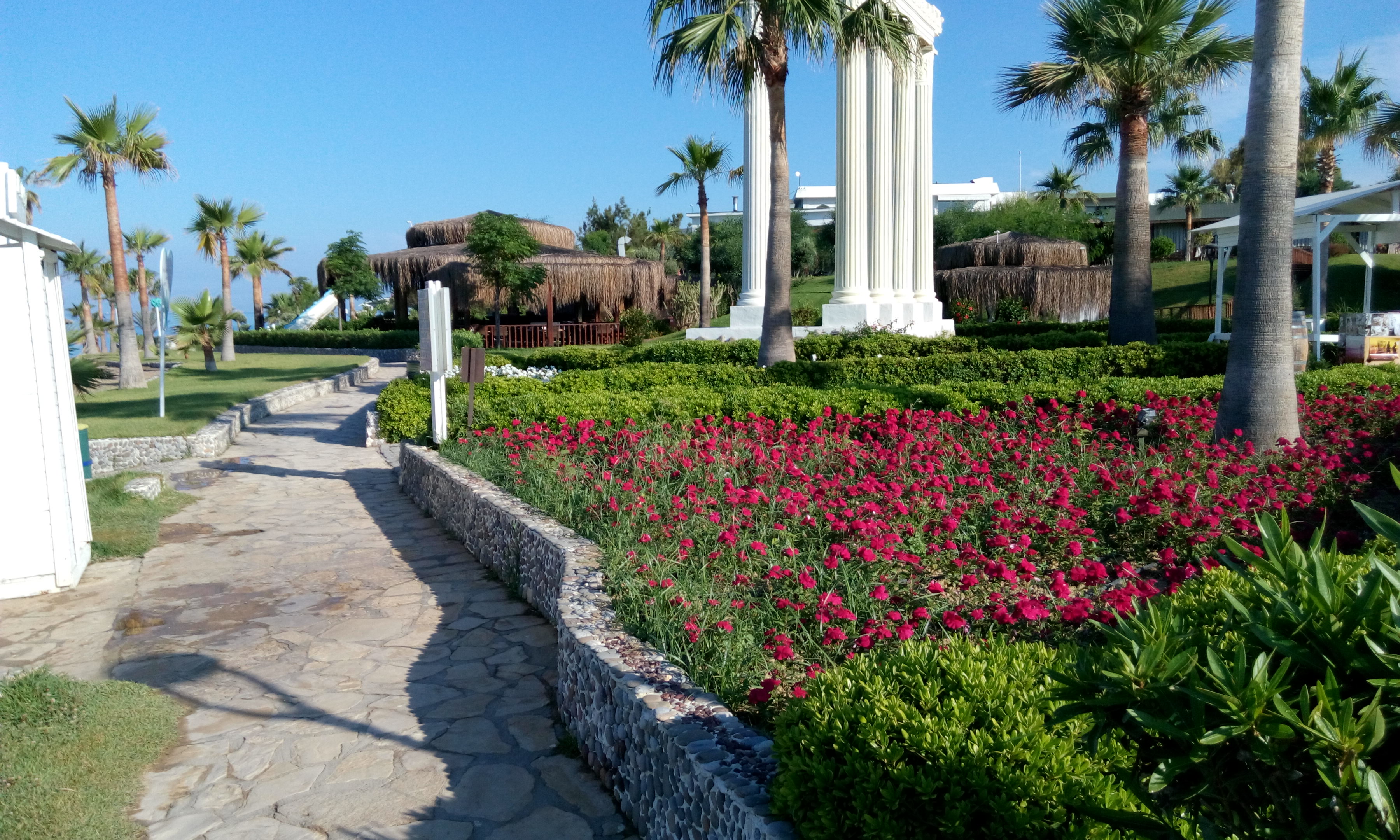 Sentido Flora Garden Hotel 5* (ex. Flora Garden Beach Club) - Kızılot