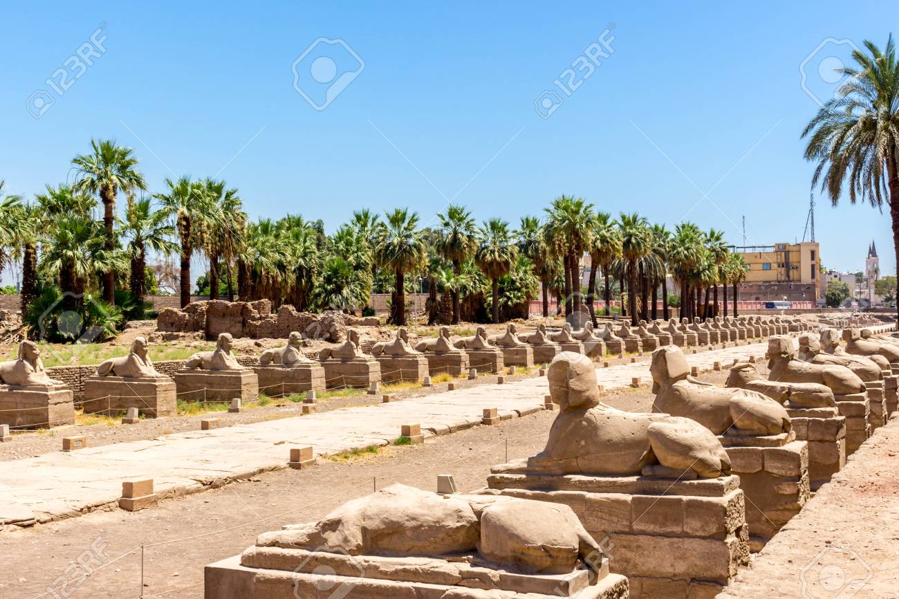 The Avenue of Sphinxes - Luxor