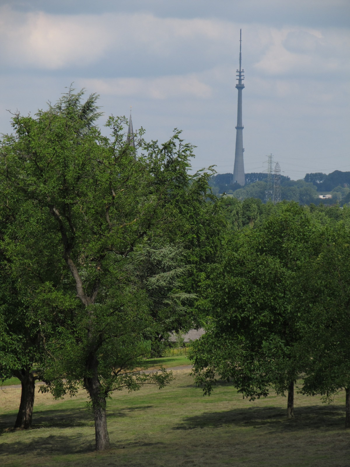 Sint-Pieters-Leeuw Tower