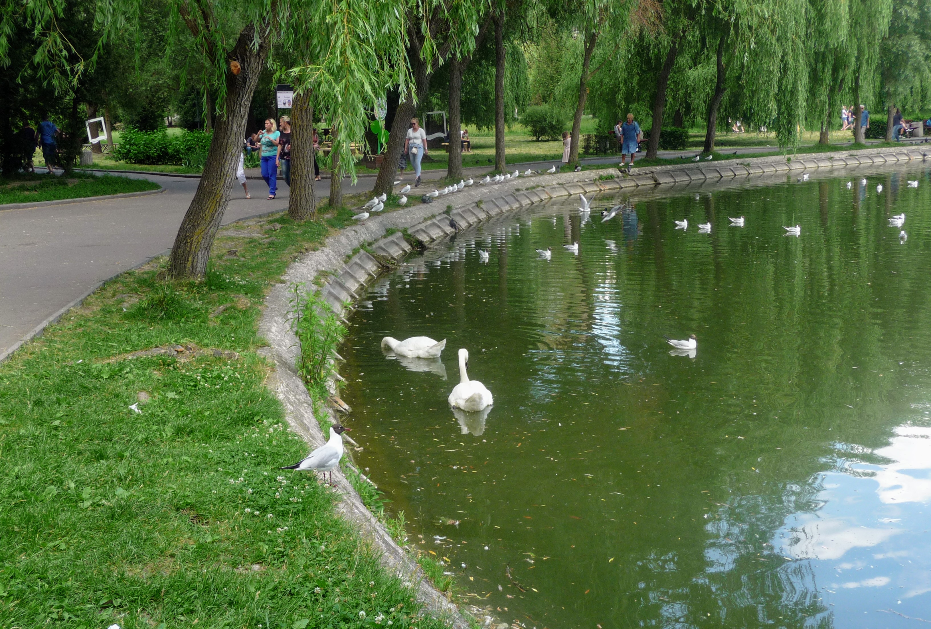 Molodi Park - Rivne